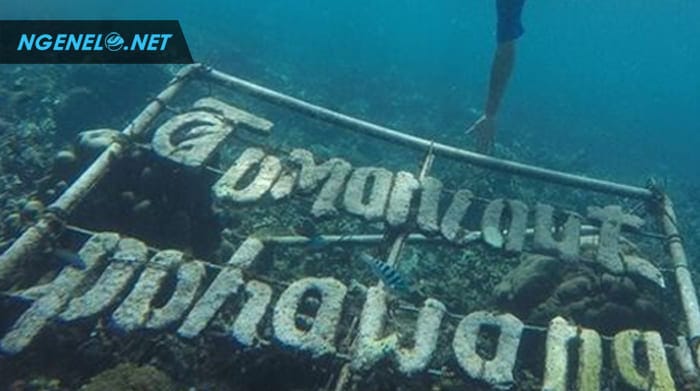 Keindahan Tersembunyi Pulau Pahawang, Surga Bawah Laut Lampung!